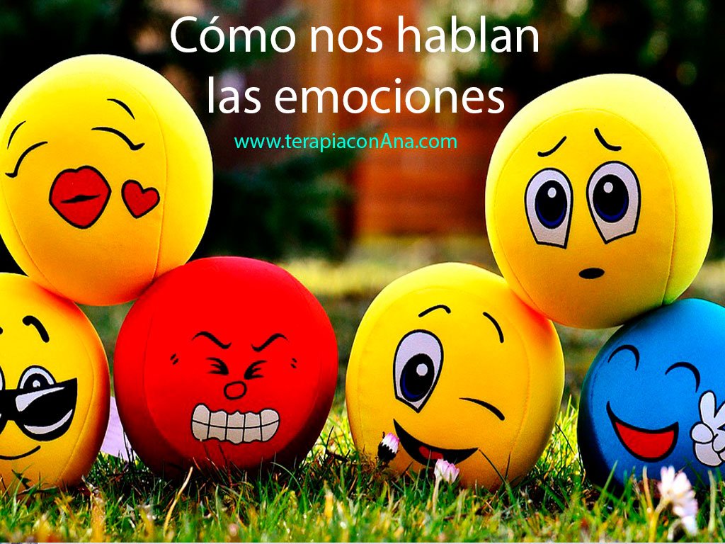 cómo nos hablan las emociones